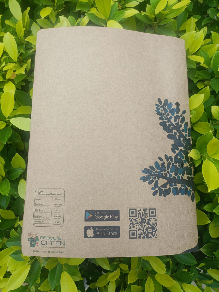 SOT BIG File | Recycled Unbleached Paper File – Recycle.Green